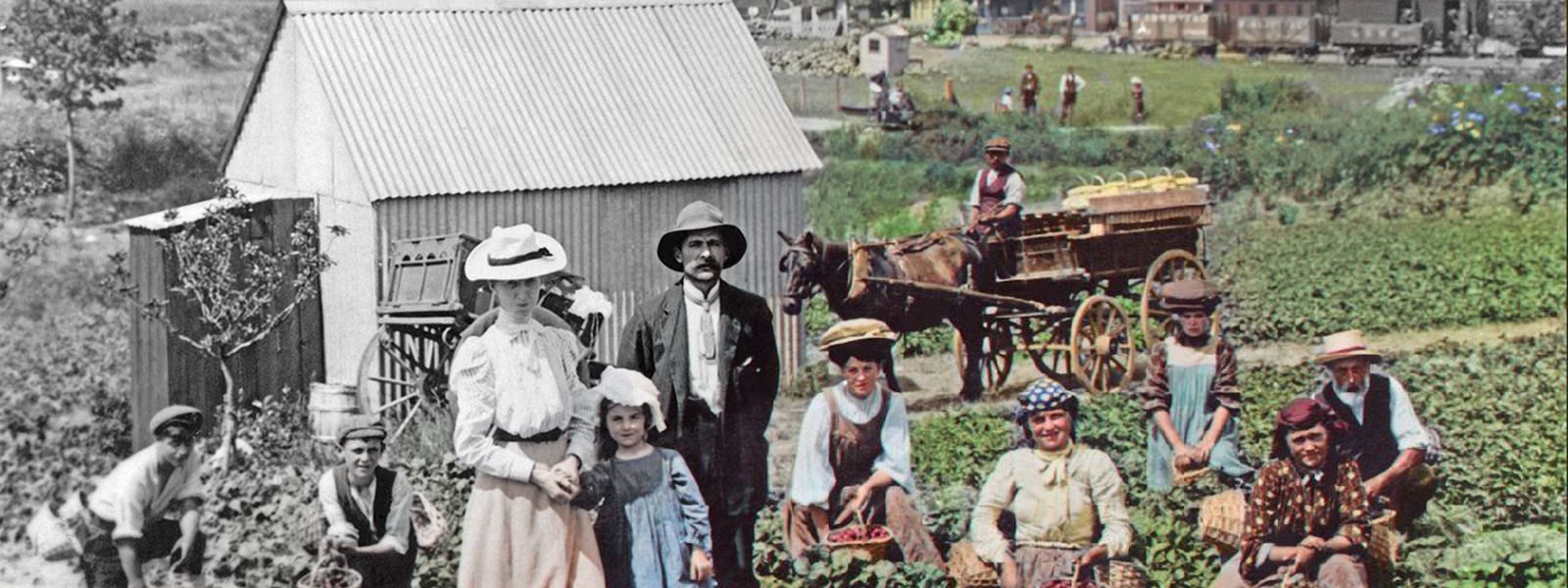 Life Through the Lens