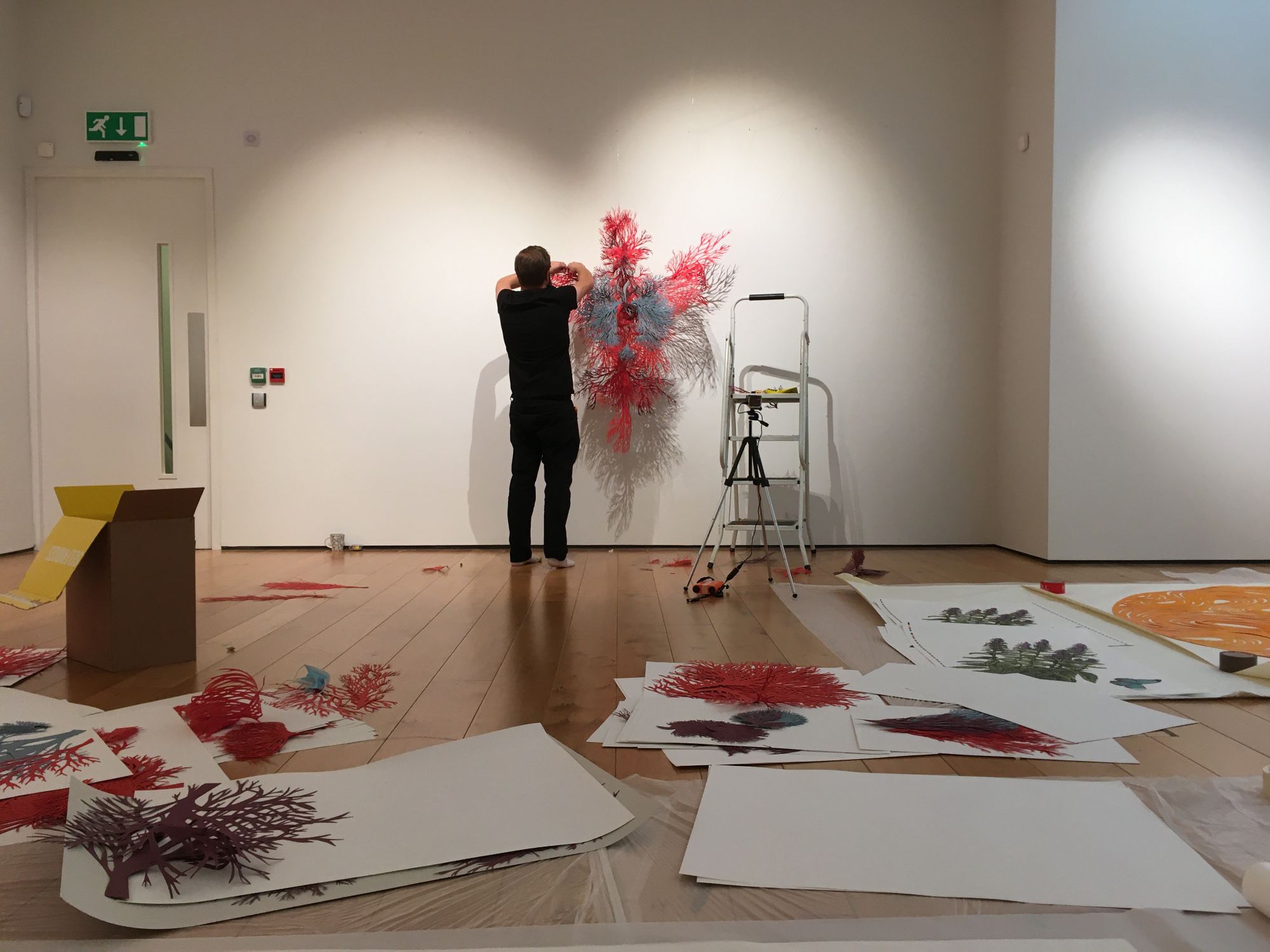 Opening up: Andy Singleton Bodies exhibition