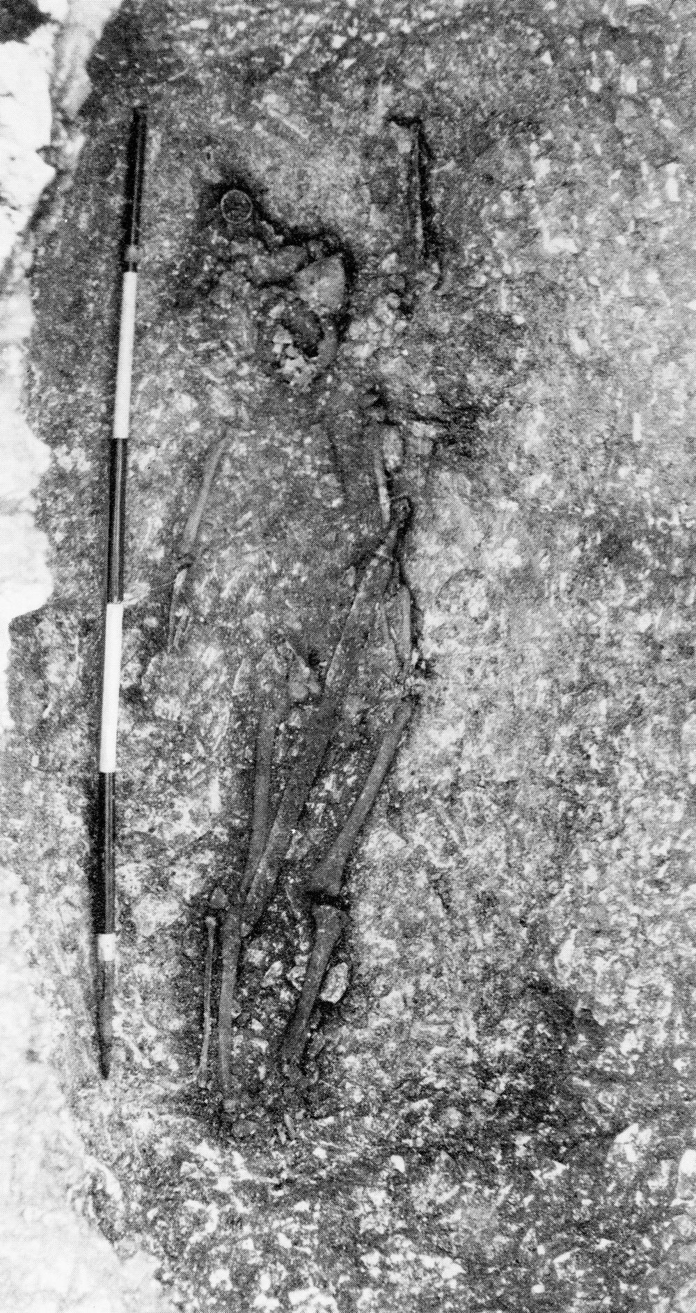 The Alton Buckle Burial